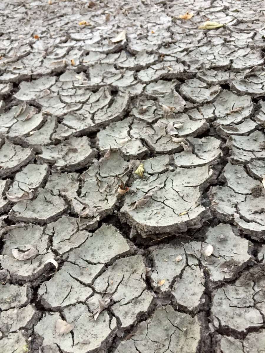 Mayim Chaim – Every Little Jot & Tittle